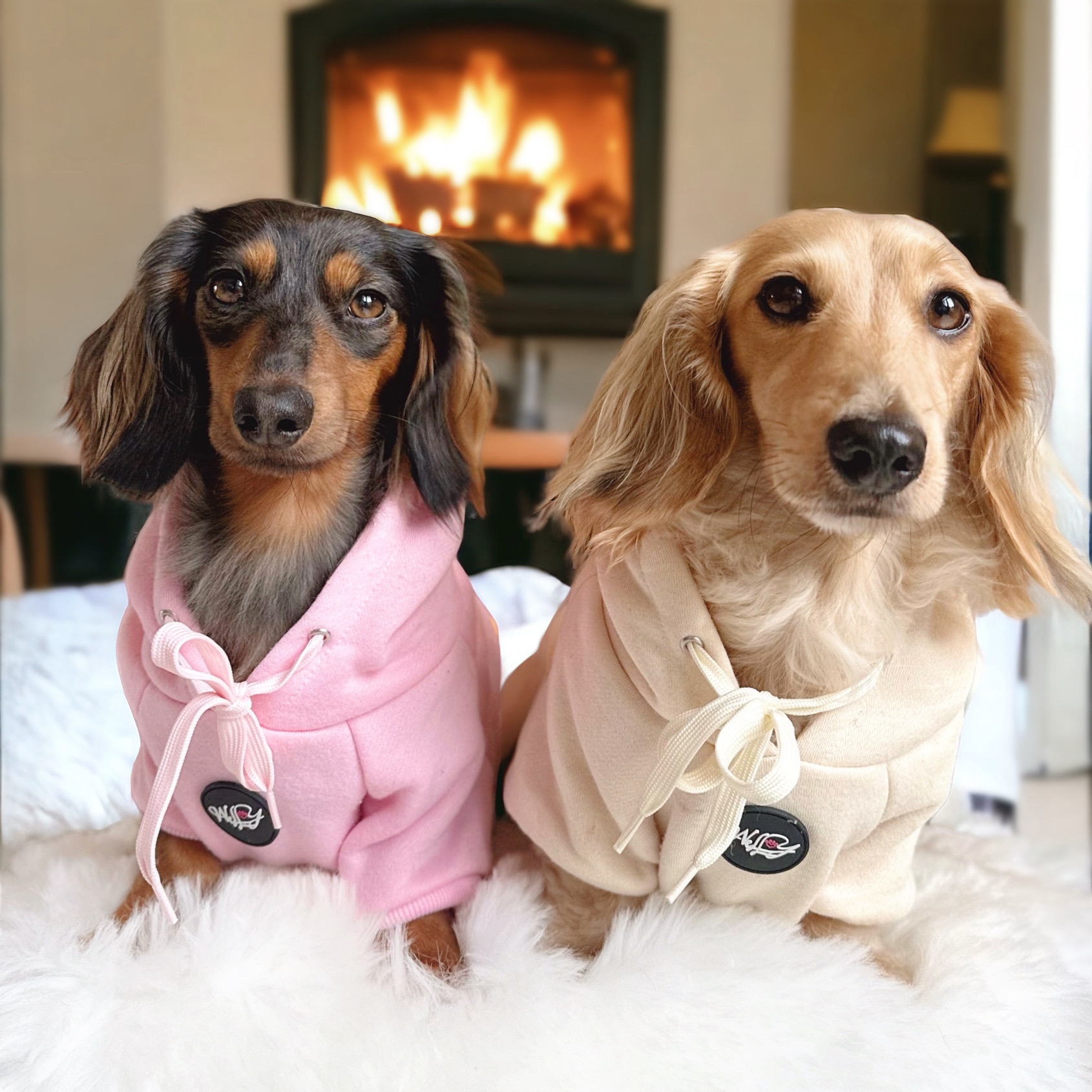 Poo loops - Accessories ˅ - Products - Wellywoof and co